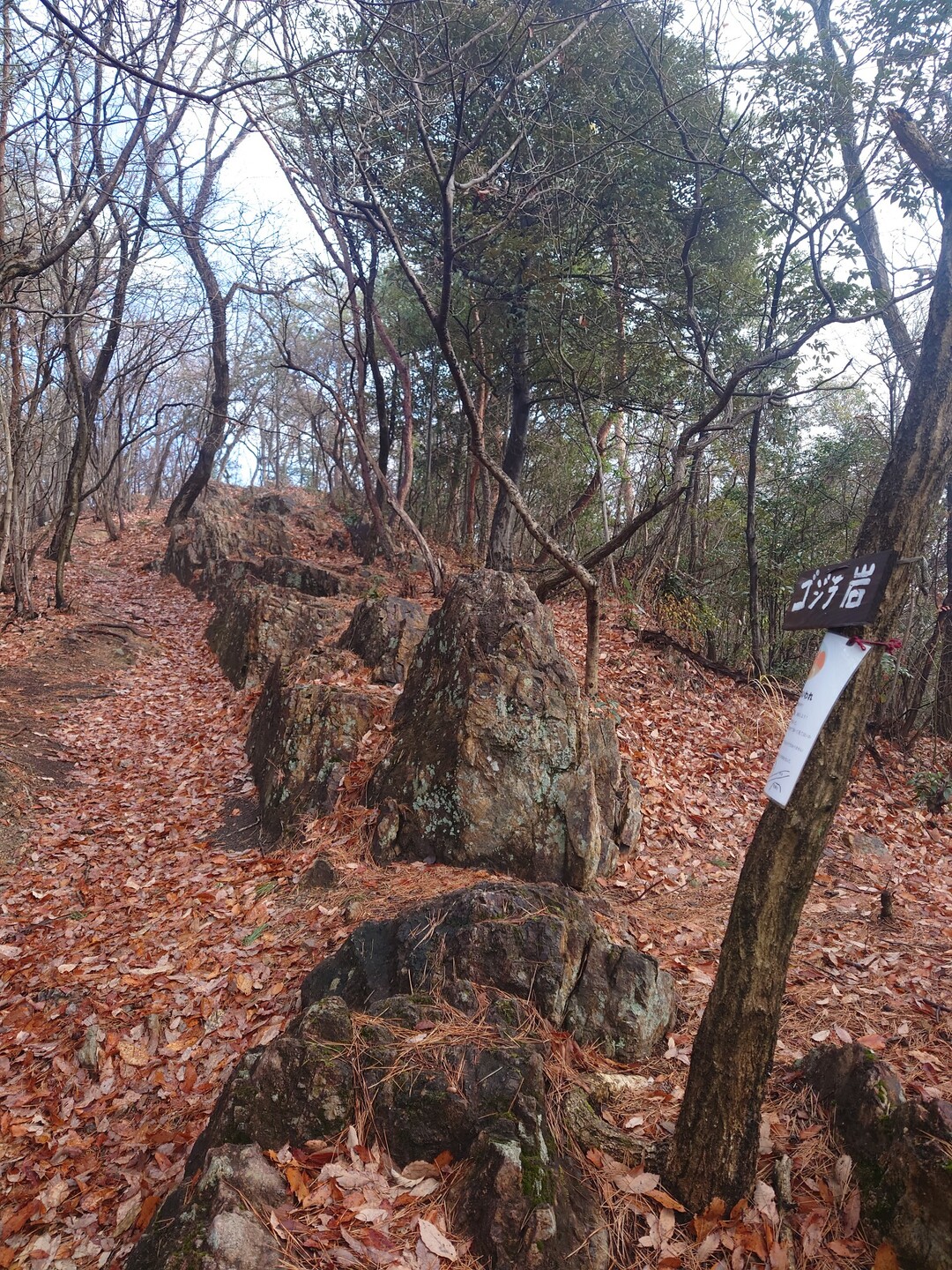 七半さんの投稿したフィールドメモ | YAMAP / ヤマップ