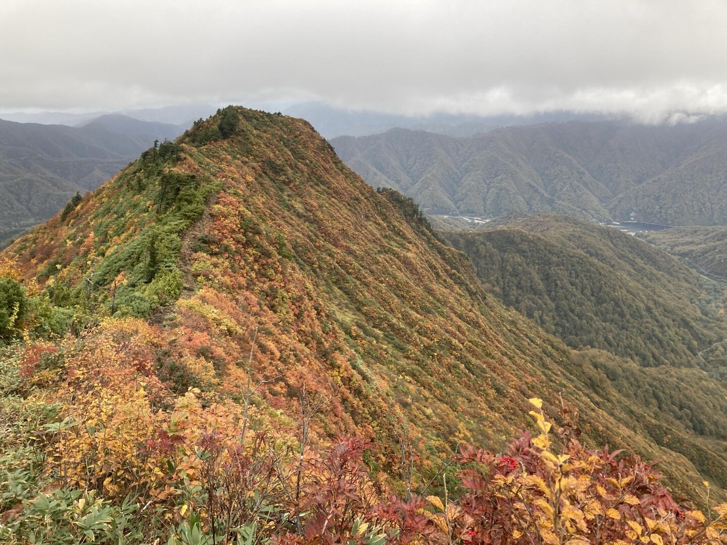 紅葉と氷の荒沢岳 / K.TAIRAさんの越後駒ヶ岳・八海山・中ノ岳の活動データ | YAMAP / ヤマップ