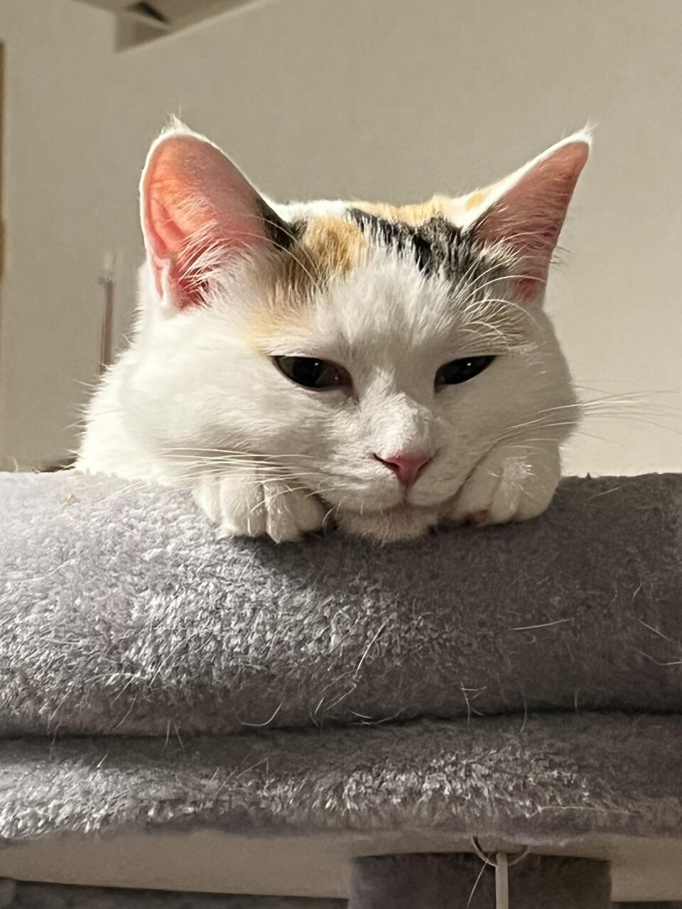 Yu-min.Kのページ | YAMAP / ヤマップ