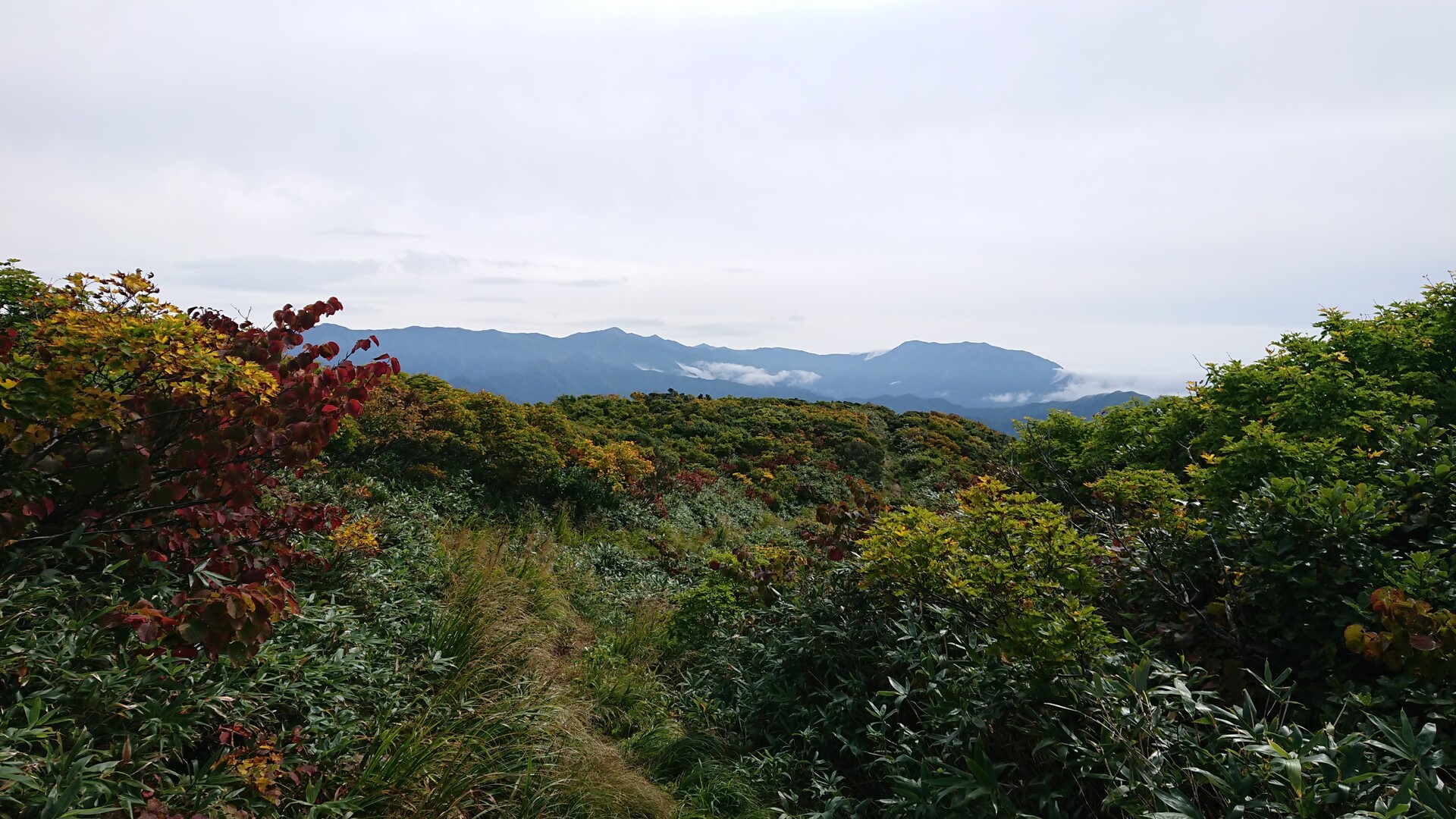 定高山・二王子岳 / N.O.R.さんの二王子岳の活動データ | YAMAP / ヤマップ