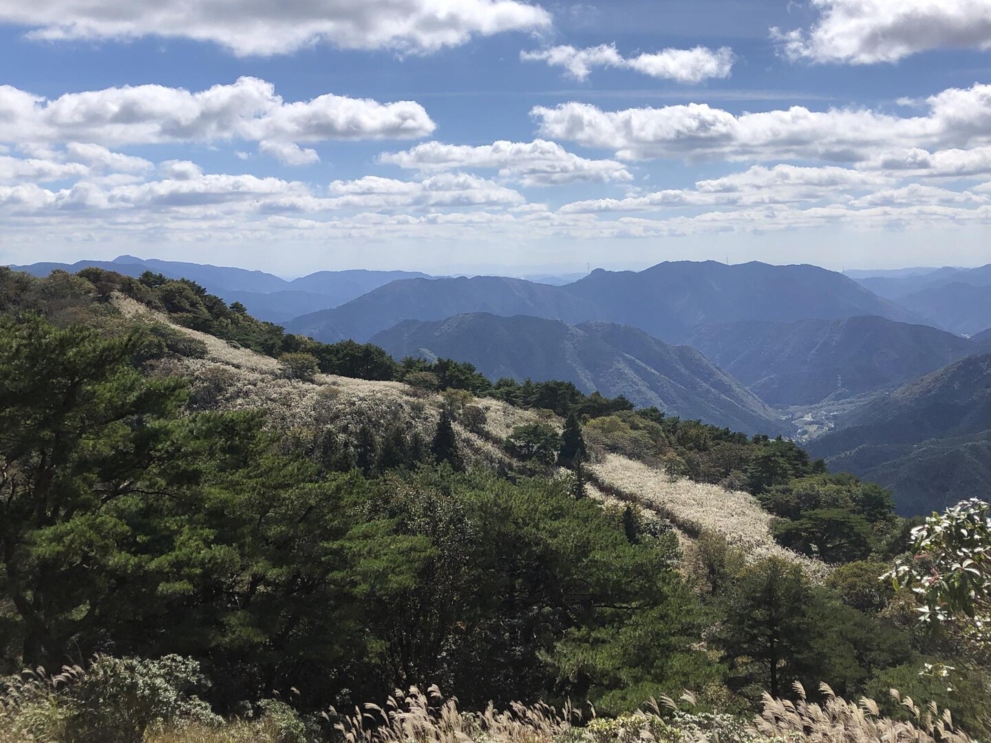 達磨ヶ峰・フトウガ峰・段ヶ峰 / Rickさんの段ヶ峰・笠杉山・千町ヶ峰の活動データ | YAMAP / ヤマップ