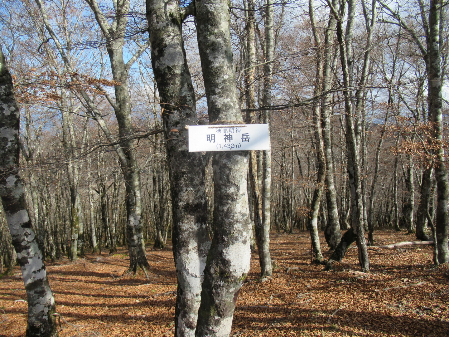 赤ゾレ山から国見山～明神岳～桧塚奥峰 / asayanさんの桧塚奥峰・明神岳・薊岳の活動データ | YAMAP / ヤマップ