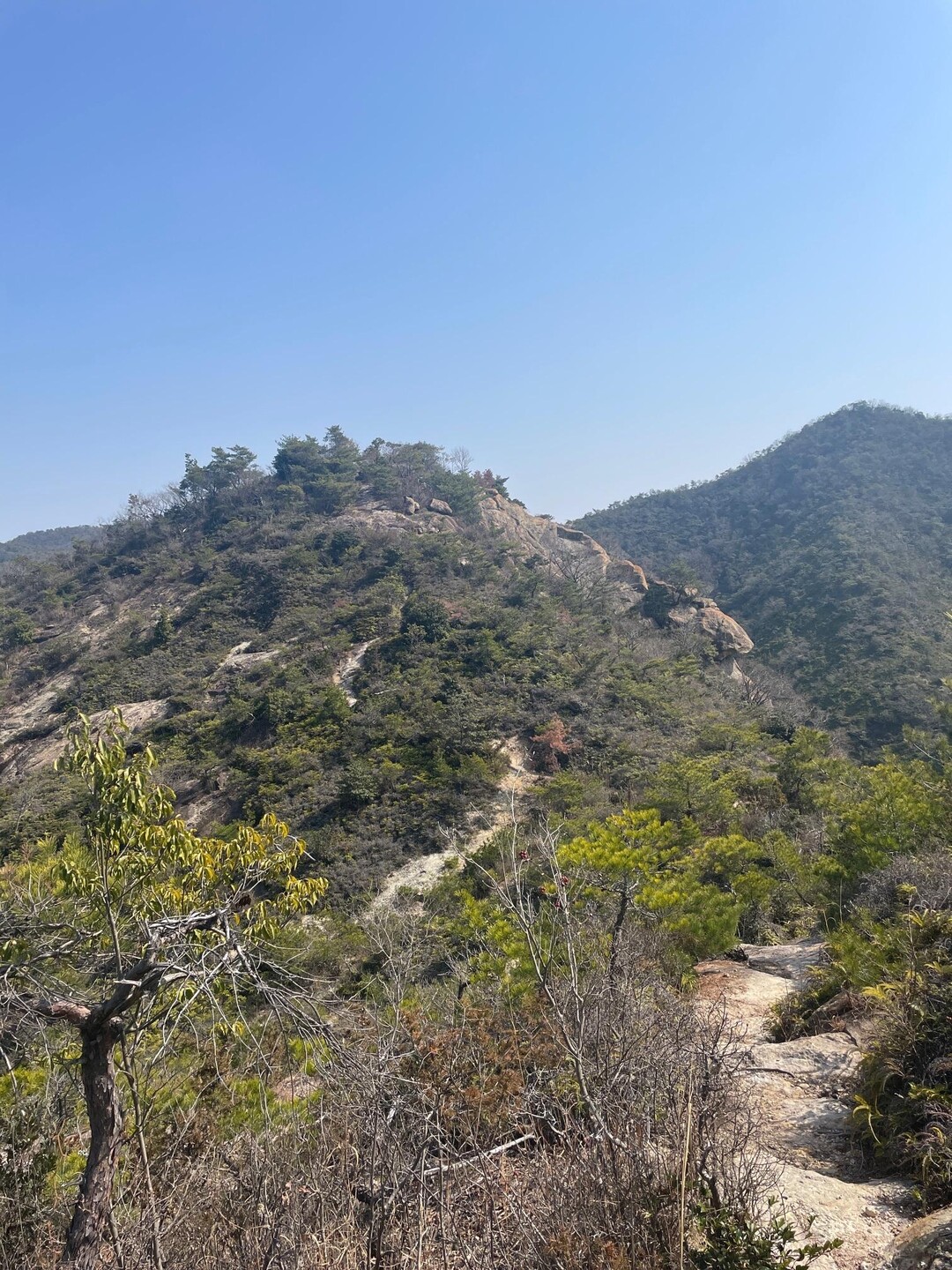 別所奥山・鷹ノ巣山・桶居山 / hisa4さんの高御位山・播磨アルプスの活動データ | YAMAP / ヤマップ