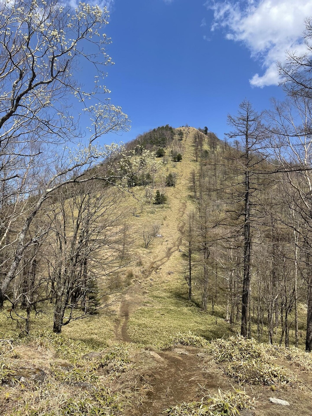 2024年＊テント泊in笠取山 / marronさんの和名倉山・笠取山・東仙波の活動データ | YAMAP / ヤマップ