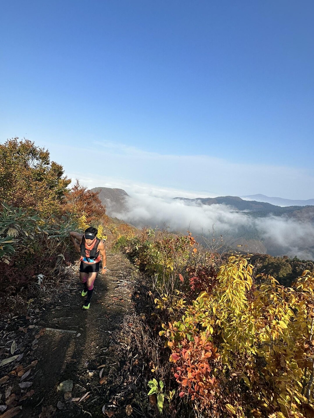 🍁雲海 🏃魚沼SKY RUN 2023 / Mt.keiさんの大力山・黒禿の頭・笠倉山の活動データ | YAMAP / ヤマップ