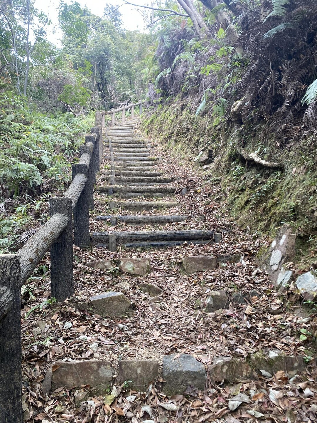 ビッグ・ウェーブ / ひーごーさんの千羽ヶ岳・鍛治屋谷山の活動データ | YAMAP / ヤマップ