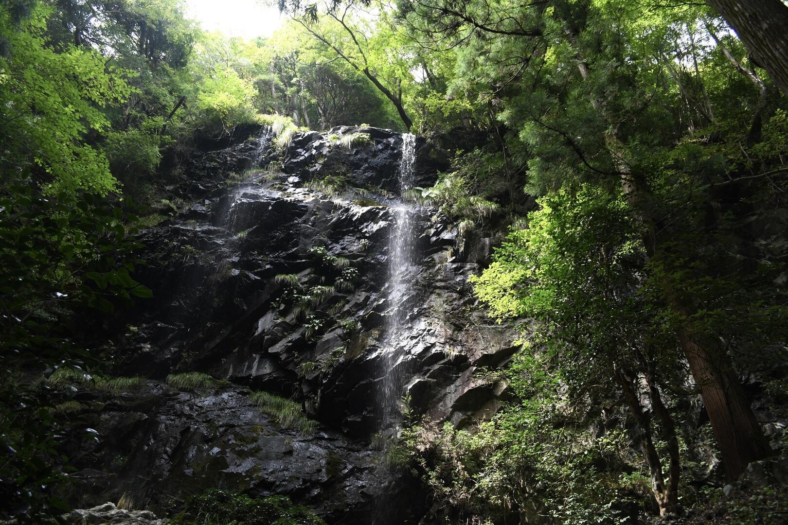 龍頭山 / iwaさんの龍頭山の活動データ | YAMAP / ヤマップ