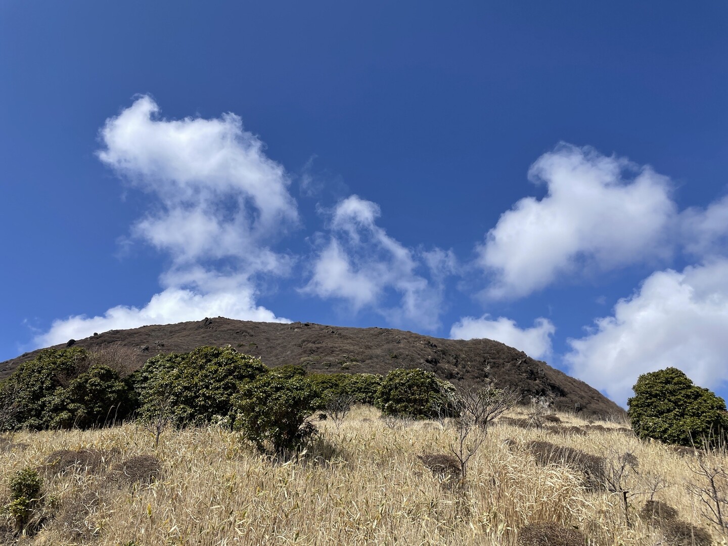 久住山・扇ヶ鼻 / kozaiさんの九重山（久住山）・大船山・星生山の活動データ | YAMAP / ヤマップ