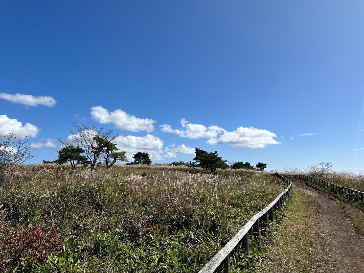 おまけに高ボッチ山 / kateさんの鉢伏山・高ボッチ山・三峰山の活動データ | YAMAP / ヤマップ