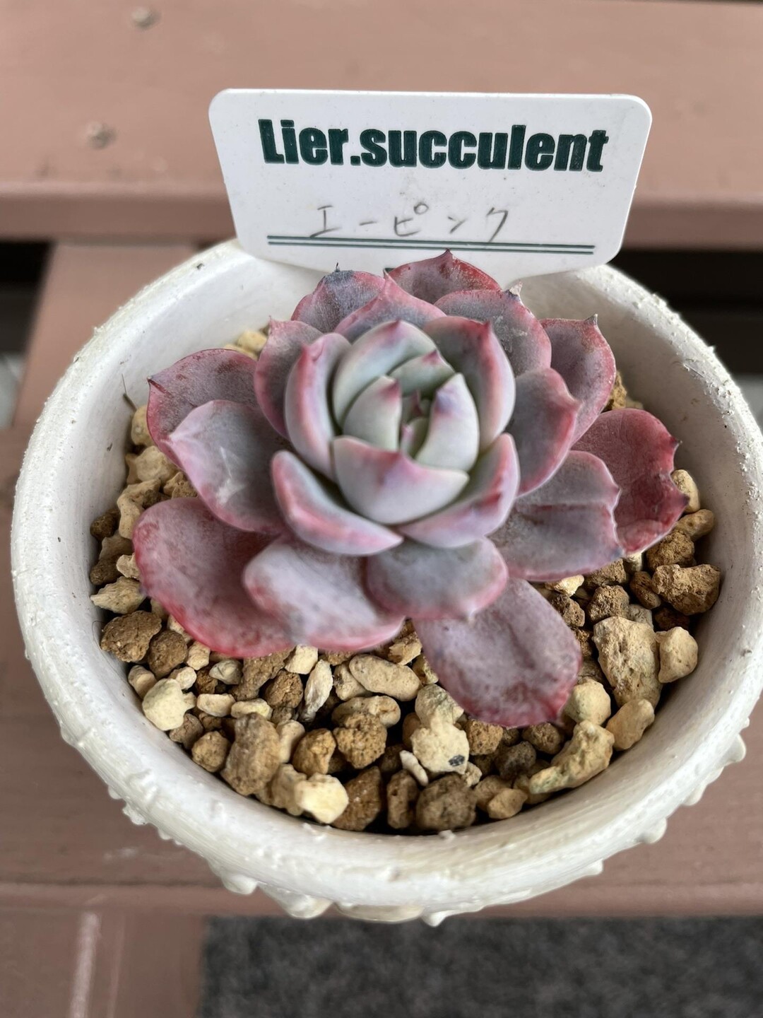 😓😭左のこが今日こんな色に! びっく... / よっしー3110さんのモーメント | YAMAP / ヤマップ