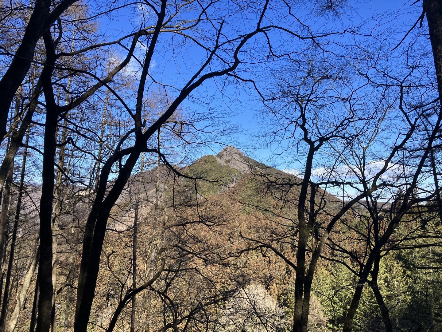 秩父御岳山 三峰口駅から周回 / banbanさんの秩父御岳山・鞍掛山の活動データ | YAMAP / ヤマップ