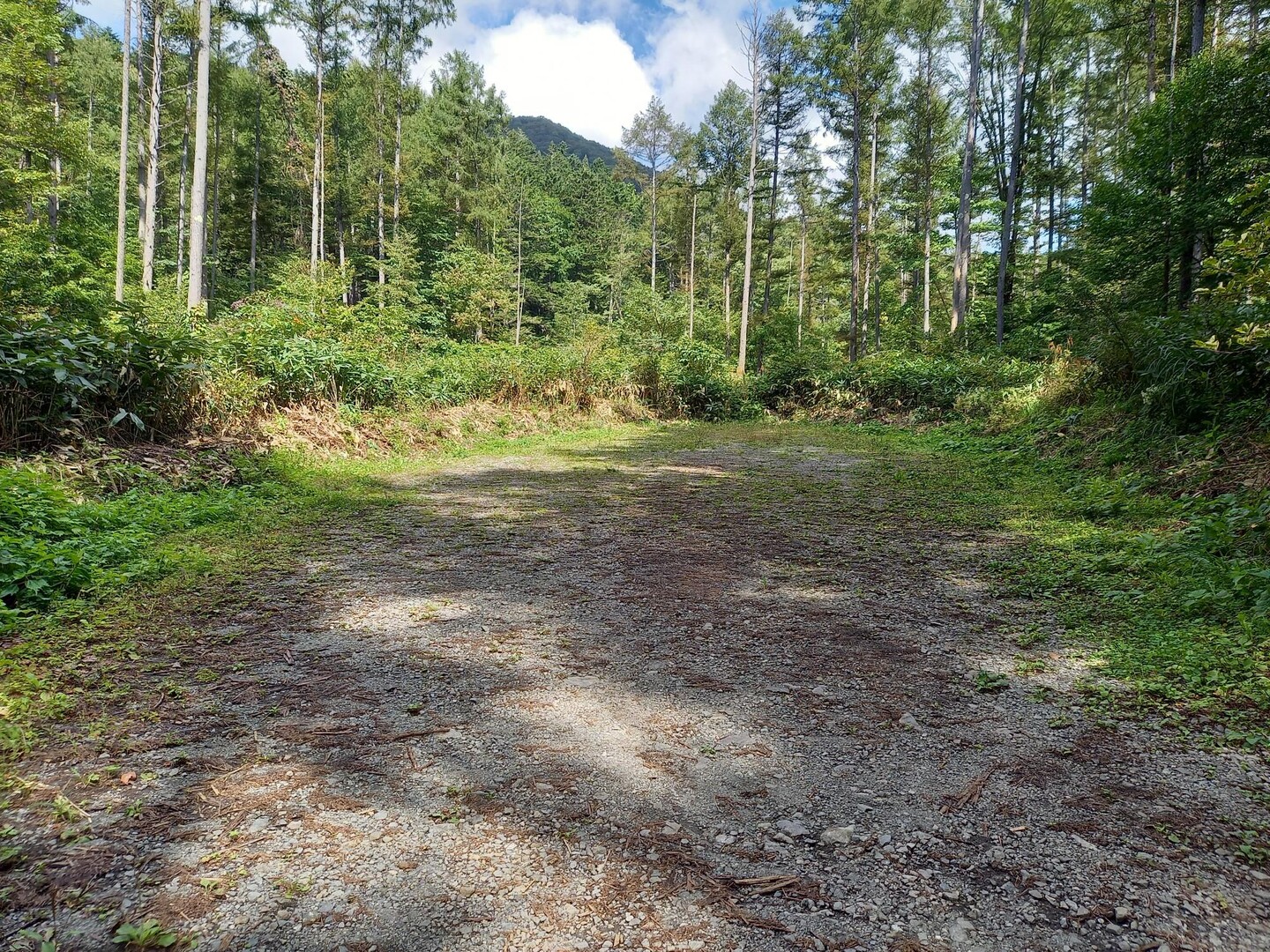 yamanamiさんの投稿したフィールドメモ | YAMAP / ヤマップ