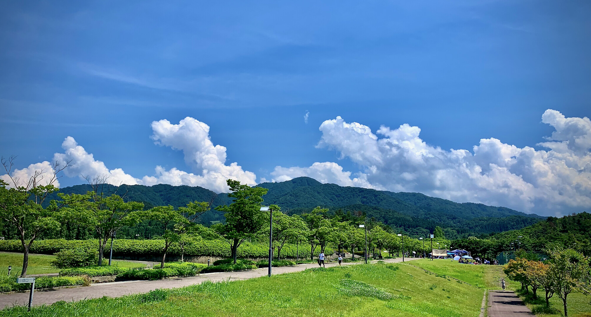 祝瓶山断念無念😫...からの梅雨晴れの中を高坪山😆 ️ / George-Mさんの高坪山の活動データ | YAMAP / ヤマップ