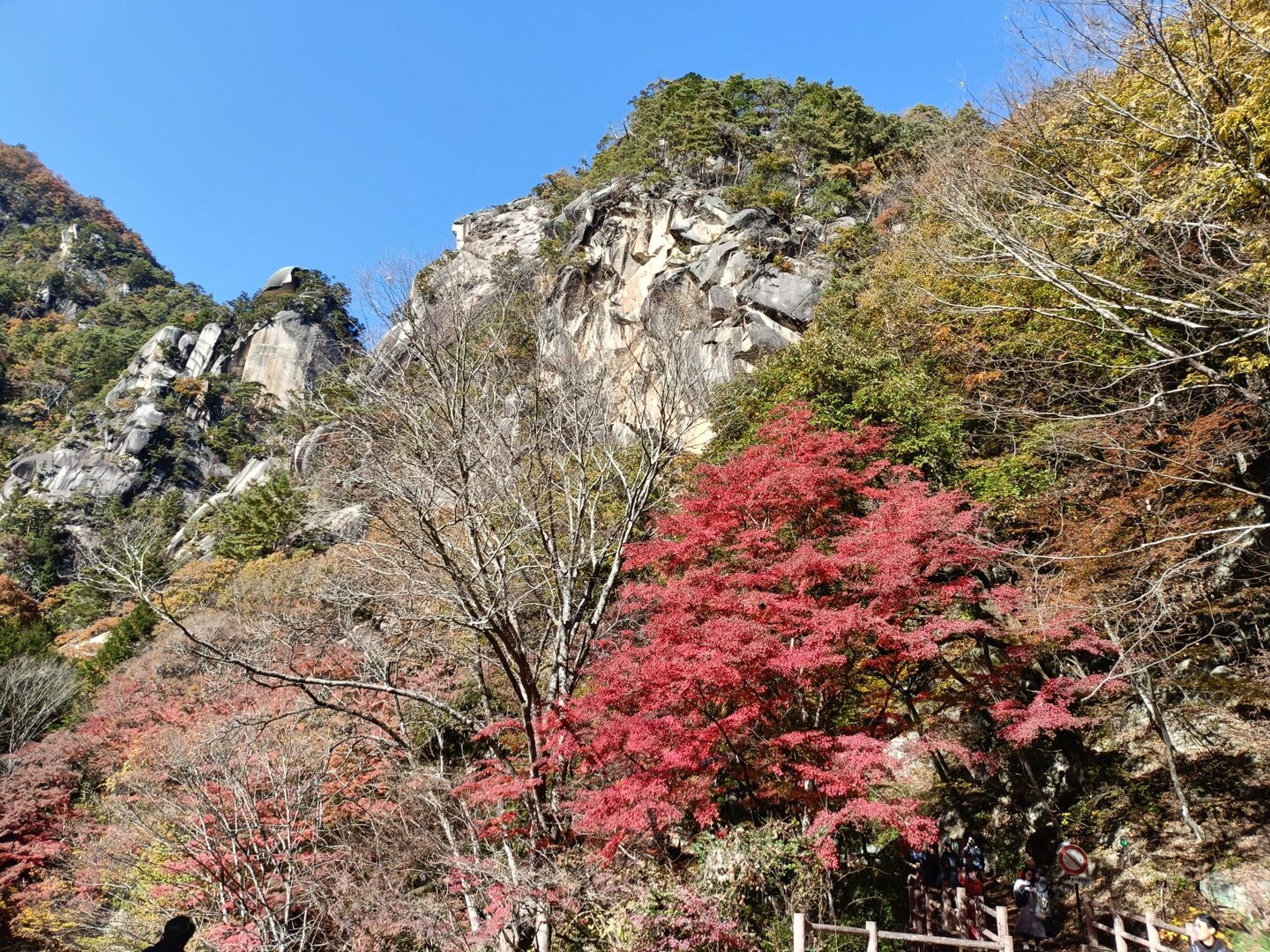 紅葉真っ盛り🍁昇仙峡・弥三郎岳 / ellena15さんの弥三郎岳（羅漢寺山）の活動日記 | YAMAP / ヤマップ
