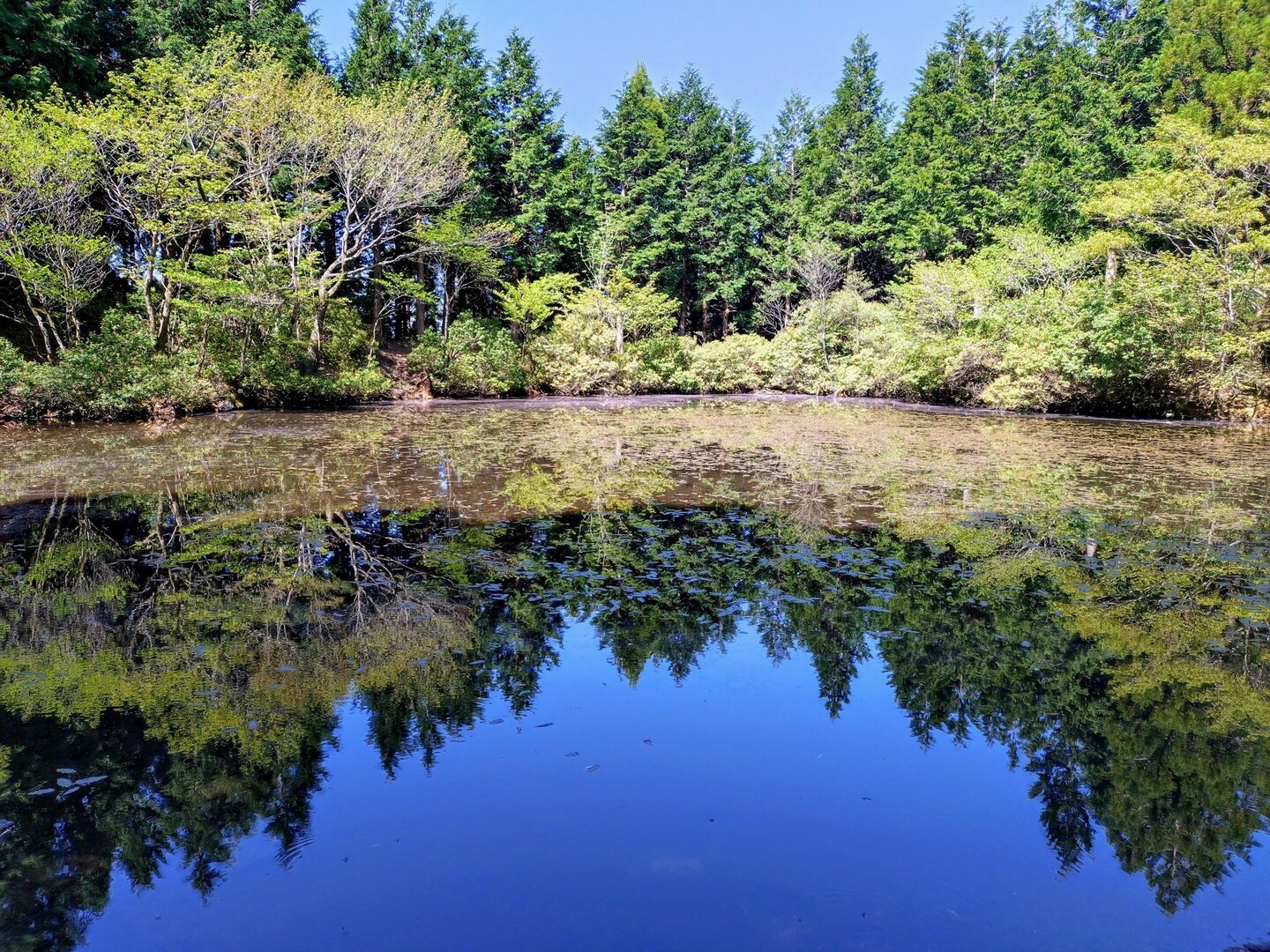 銚子ヶ口🙌水舟の池へ💨 / usaさんの釈迦ヶ岳の活動データ | YAMAP / ヤマップ