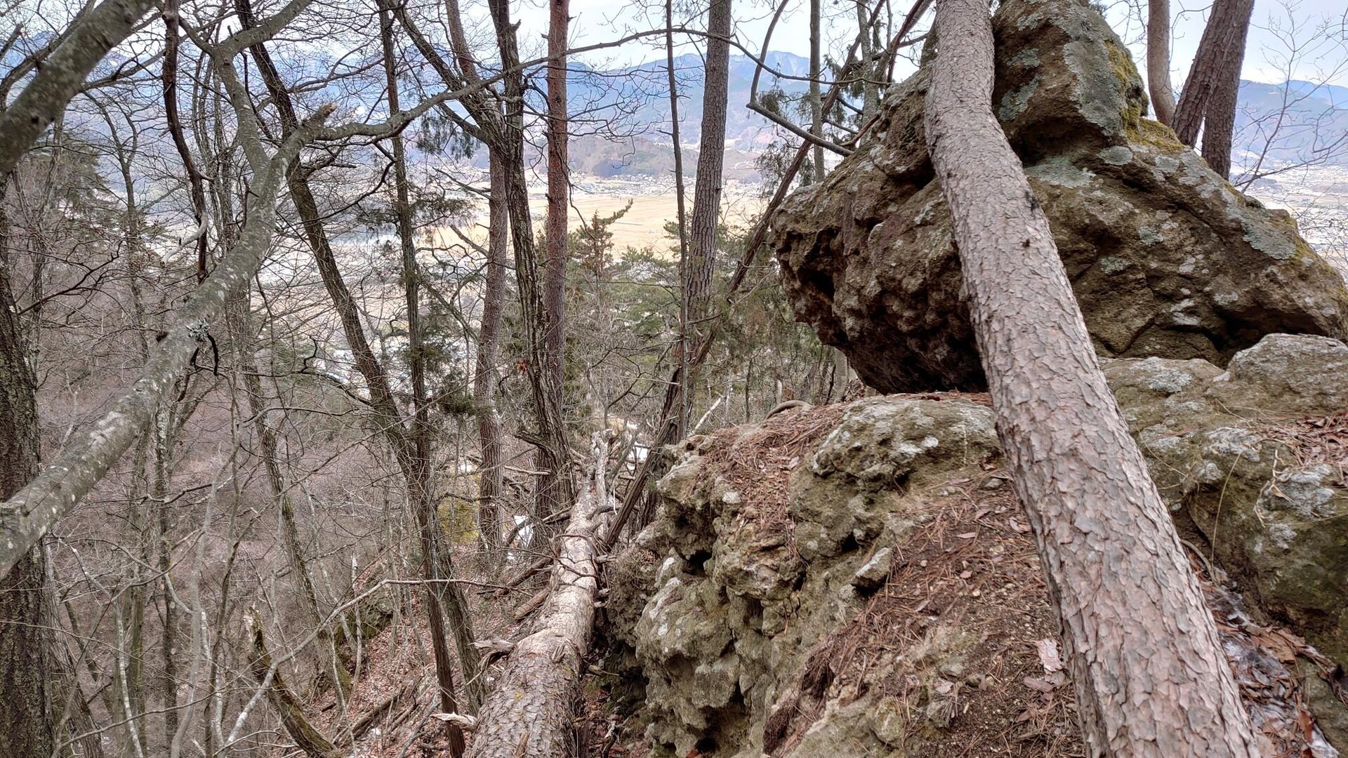 Ryuさんの投稿したフィールドメモ | YAMAP / ヤマップ