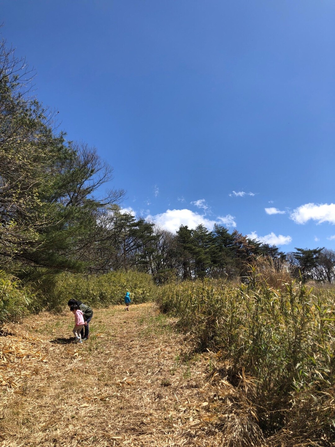 天井山 / johnny yahさんの女神山の活動データ | YAMAP / ヤマップ