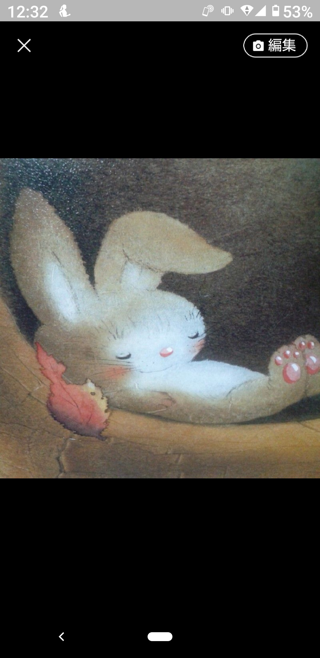 yakkoのページ | YAMAP / ヤマップ