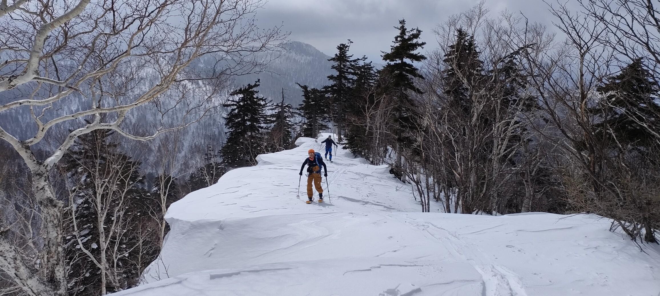 前富良野岳届かず(T_T) / りーちさんのGT3 4の活動データ | YAMAP / ヤマップ