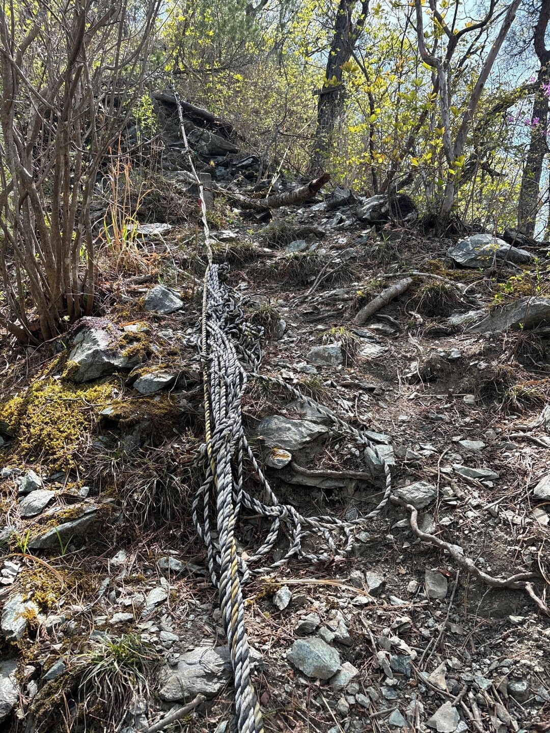 mskふぅさんの投稿したフィールドメモ | YAMAP / ヤマップ