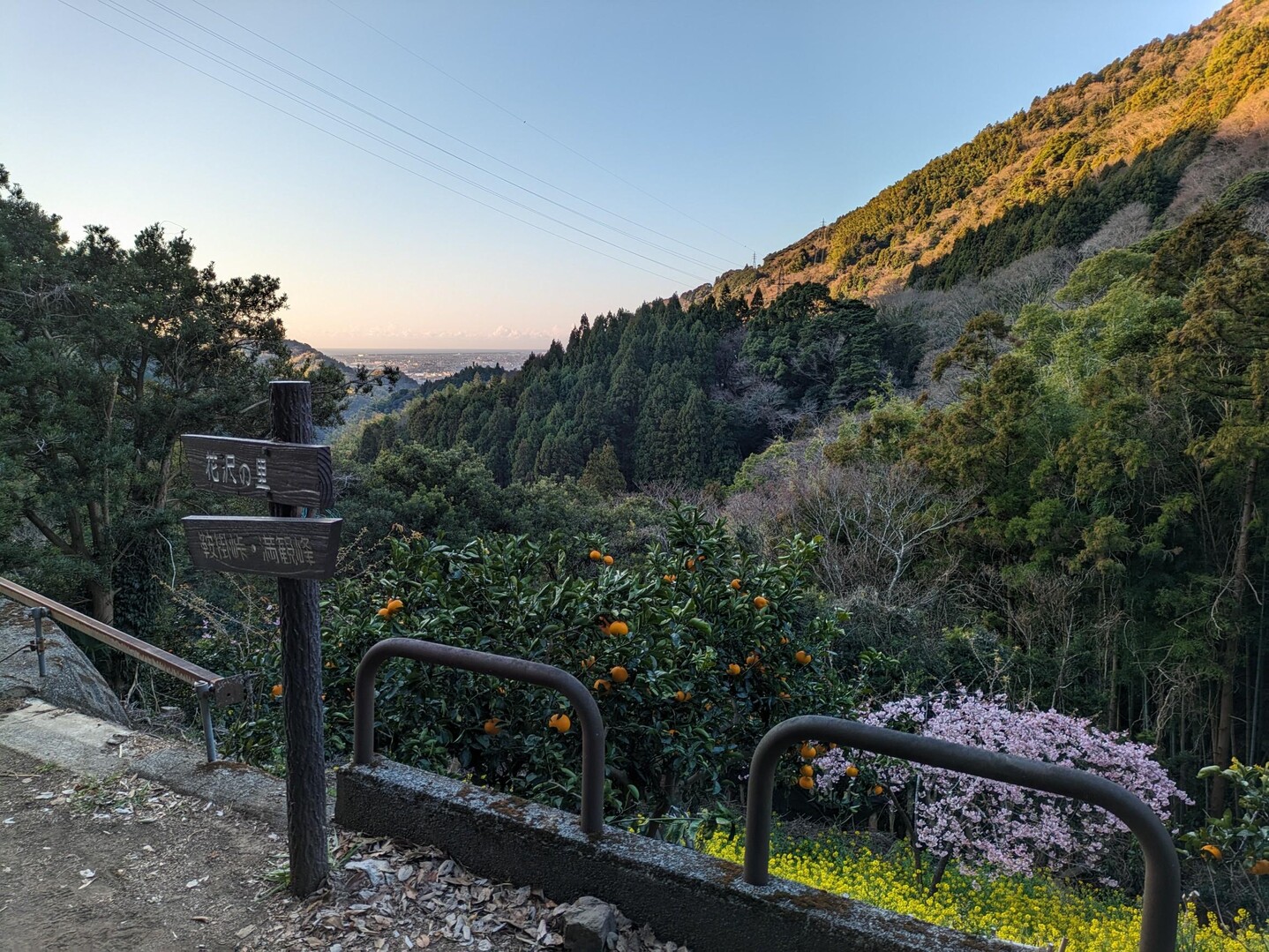 満観峰29 / AWA-MANさんの焼津アルプス（高草山・満観峰・花沢山）・徳願寺山の活動データ | YAMAP / ヤマップ