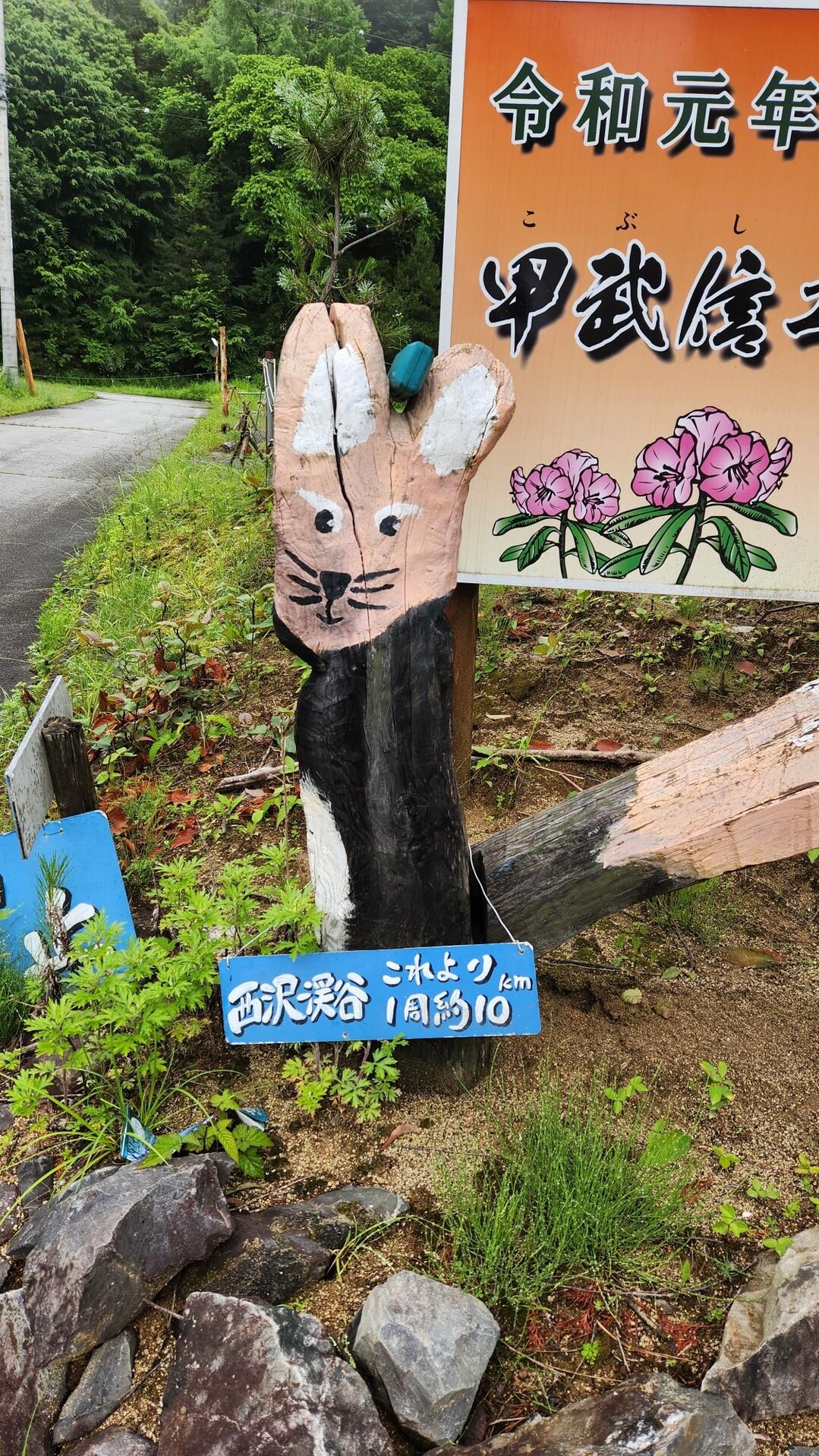 西沢渓谷-2024-06-29 / aho sanさんの甲武信ヶ岳の活動データ | YAMAP / ヤマップ