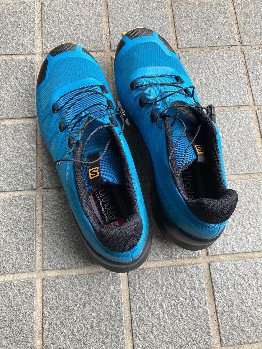 スピクロ5がやってきた！ 26cm 色... / やすさんさんのモーメント | YAMAP / ヤマップ