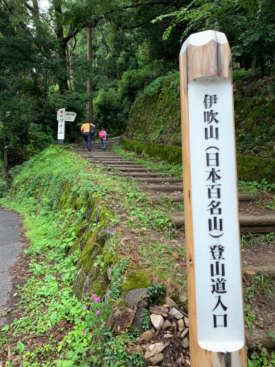 伊吹山 / mai さんの伊吹山・伊吹高原・御座峰の活動データ | YAMAP / ヤマップ