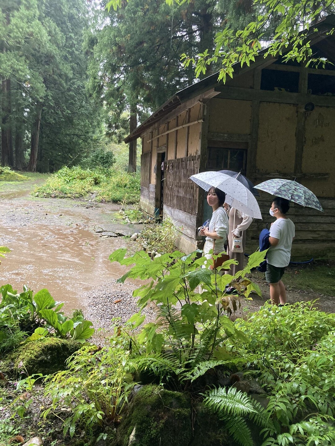 おおかみこどもの雨と雪の花の家までの道のり。 / yuukさんのウォーキングの活動データ | YAMAP / ヤマップ