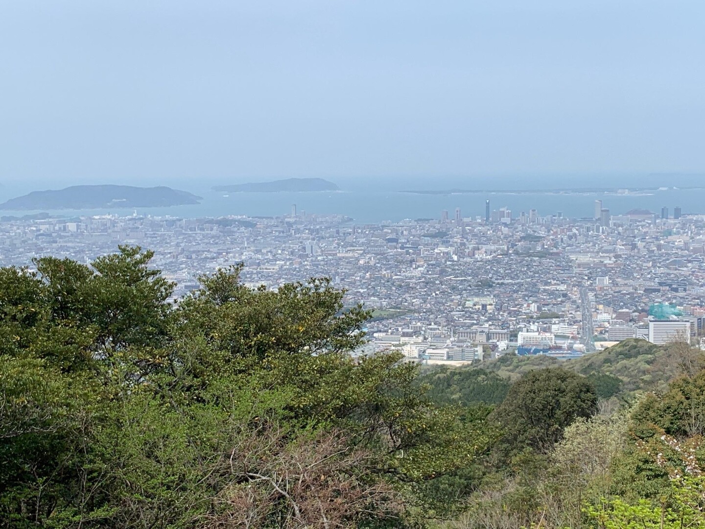 妙見山・油山 / zoさんの油山・荒平山・片縄山の活動データ | YAMAP / ヤマップ