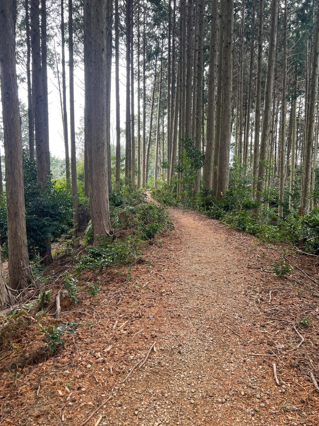 takahiroさんの投稿したフィールドメモ | YAMAP / ヤマップ