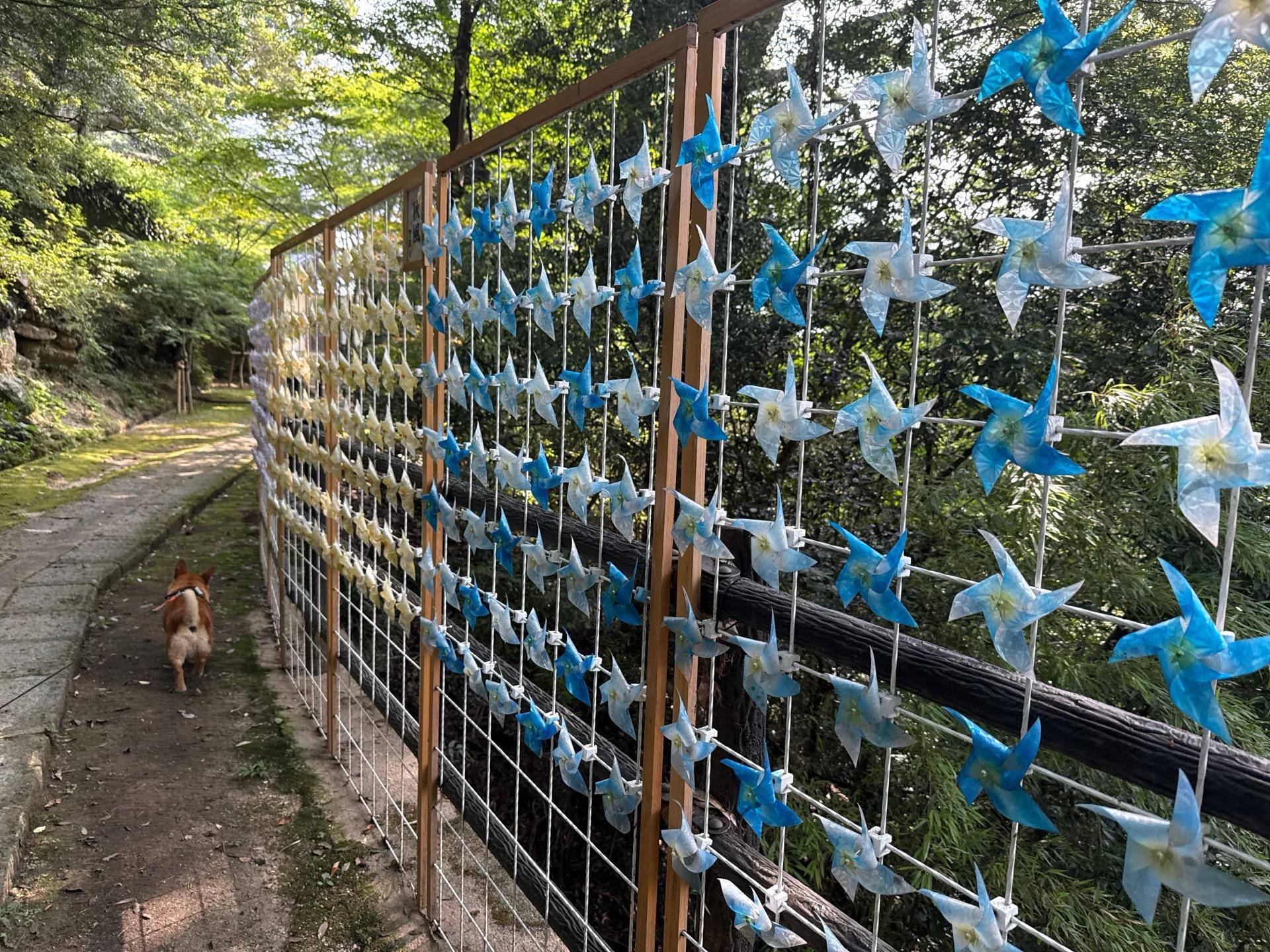 🐕笠置山 / monさんの笠置山の活動データ | YAMAP / ヤマップ