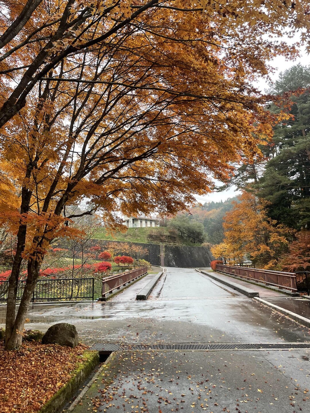 南沢山 / ANNA.さんの恵那山・大判山・神坂山の活動データ | YAMAP / ヤマップ