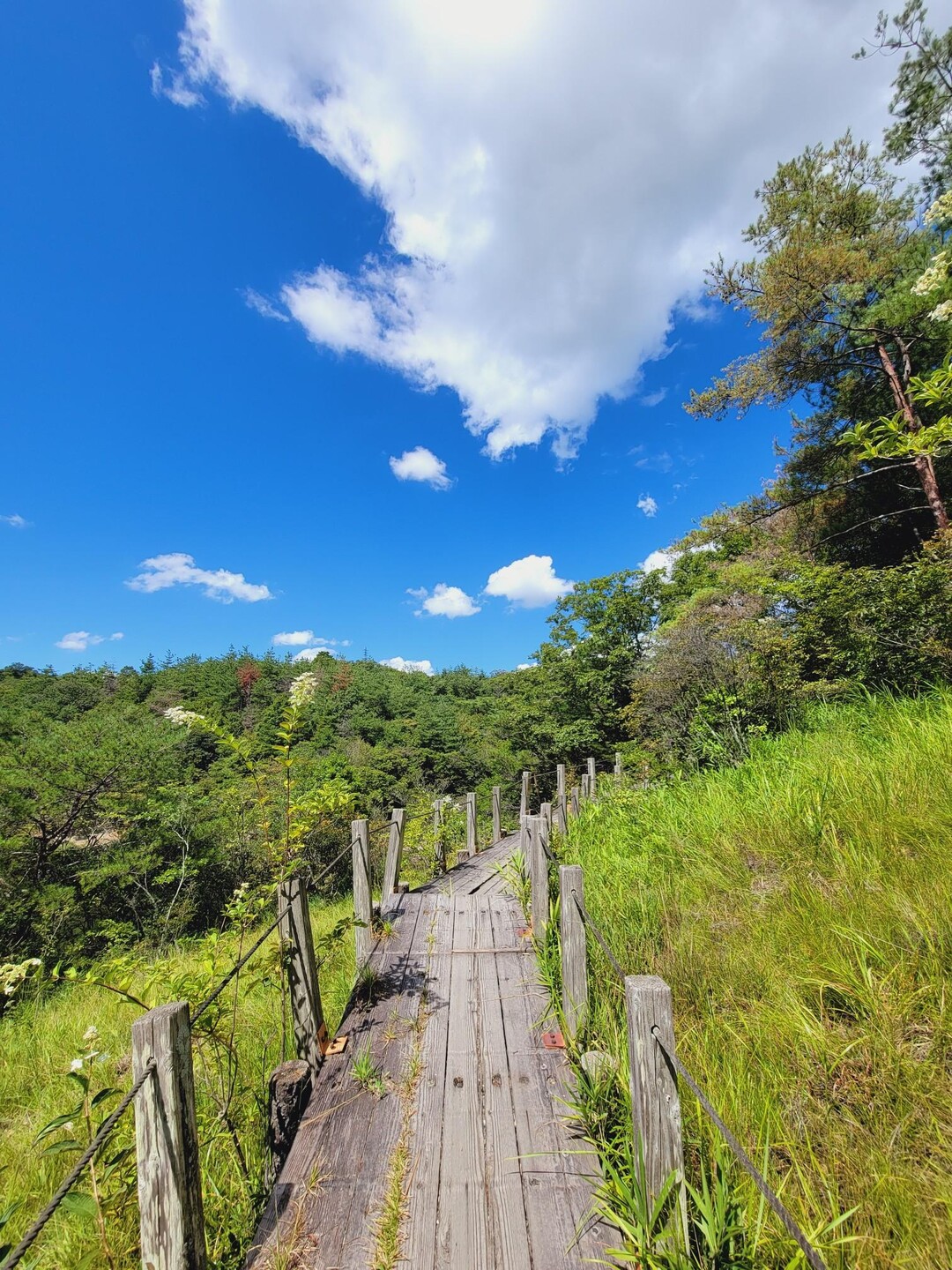 西高森山 / yellさんの春日井三山・弥勒山・大谷山・道樹山の活動データ | YAMAP / ヤマップ