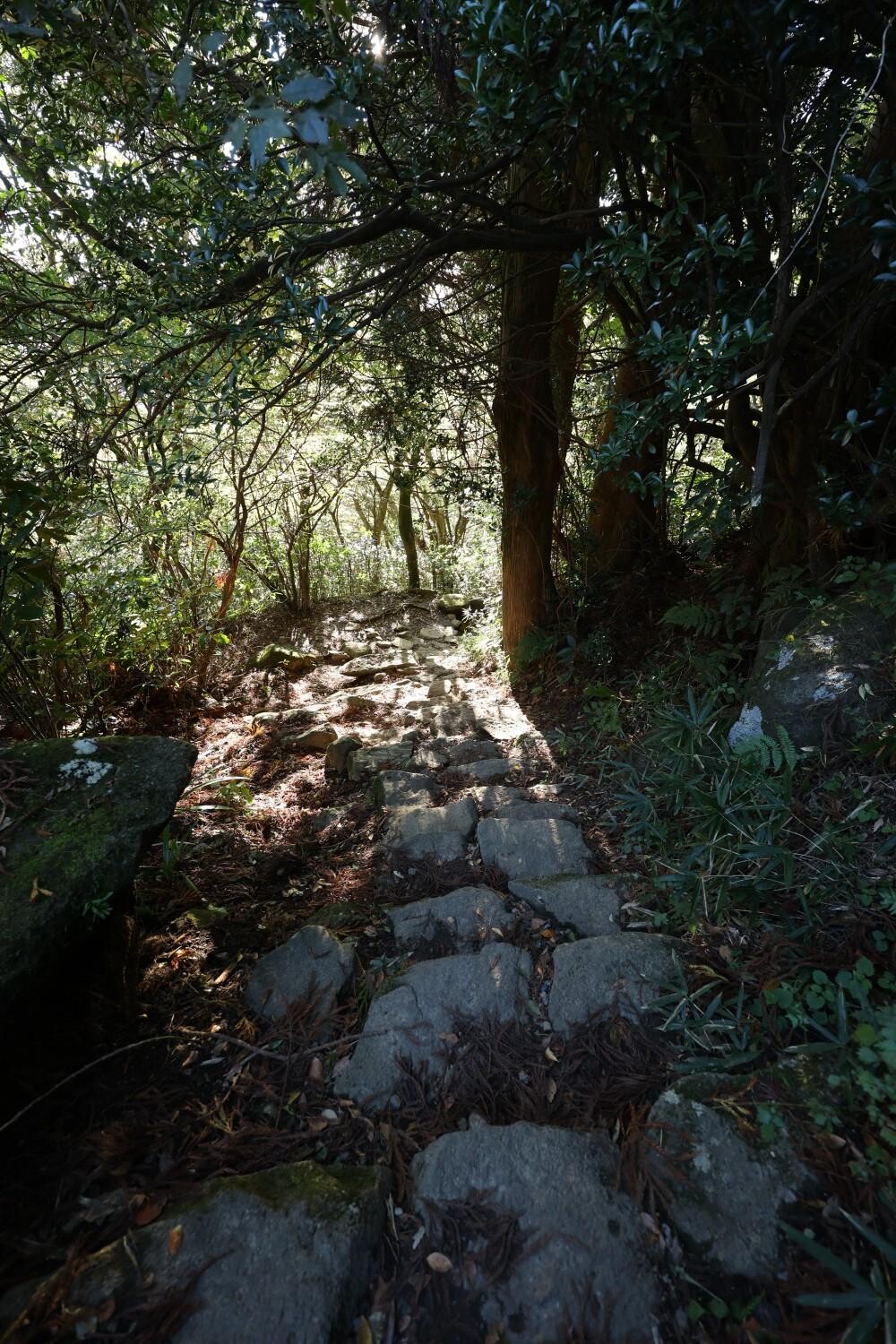 夕暮れ時の登山道は美しい。 でも暗くなる... / Windyさんのモーメント | YAMAP / ヤマップ