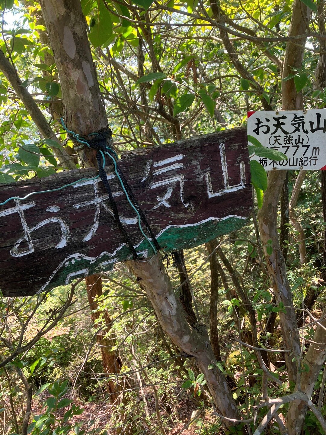 お天気山 / dai-modeさんの鳴蟲山・羽賀場山の活動データ | YAMAP / ヤマップ