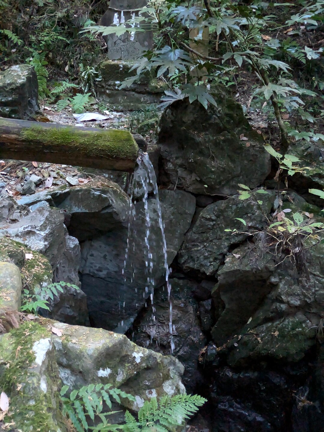 石尊山・官ノ倉山往復 / TAKAYUKIさんの官ノ倉山の活動データ | YAMAP / ヤマップ