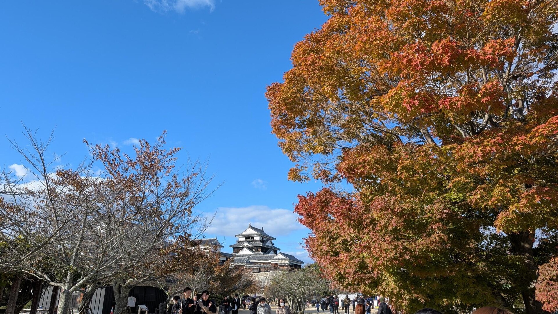 勝山 / yumiさんの勝山（松山城）の活動データ | YAMAP / ヤマップ