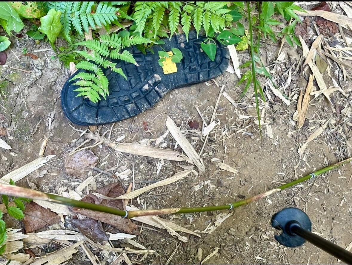 落とし物 真新しいソール 帰るの苦労した... / PB-4さんのモーメント | YAMAP / ヤマップ