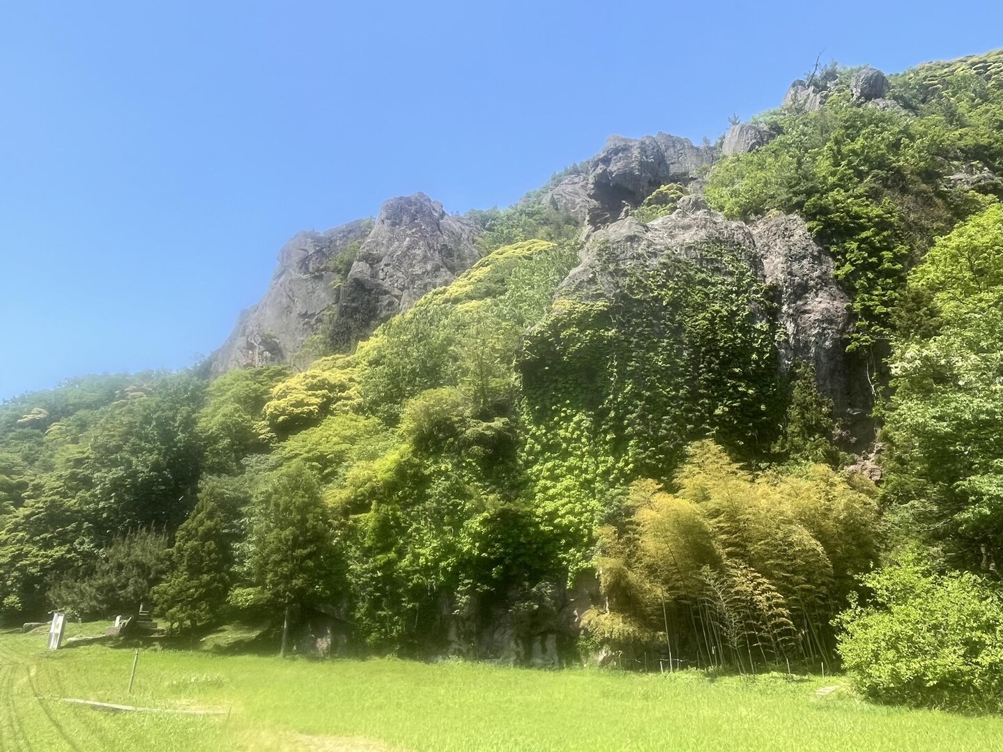 竜嵓山 / marumoさんの石見銀山（仙山・仙ノ山）・大江高山の活動データ | YAMAP / ヤマップ