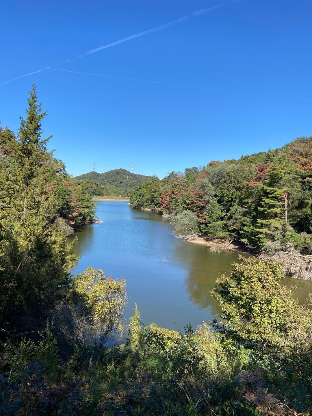 深山公園 / みかんさんのウォーキングの活動データ | YAMAP / ヤマップ