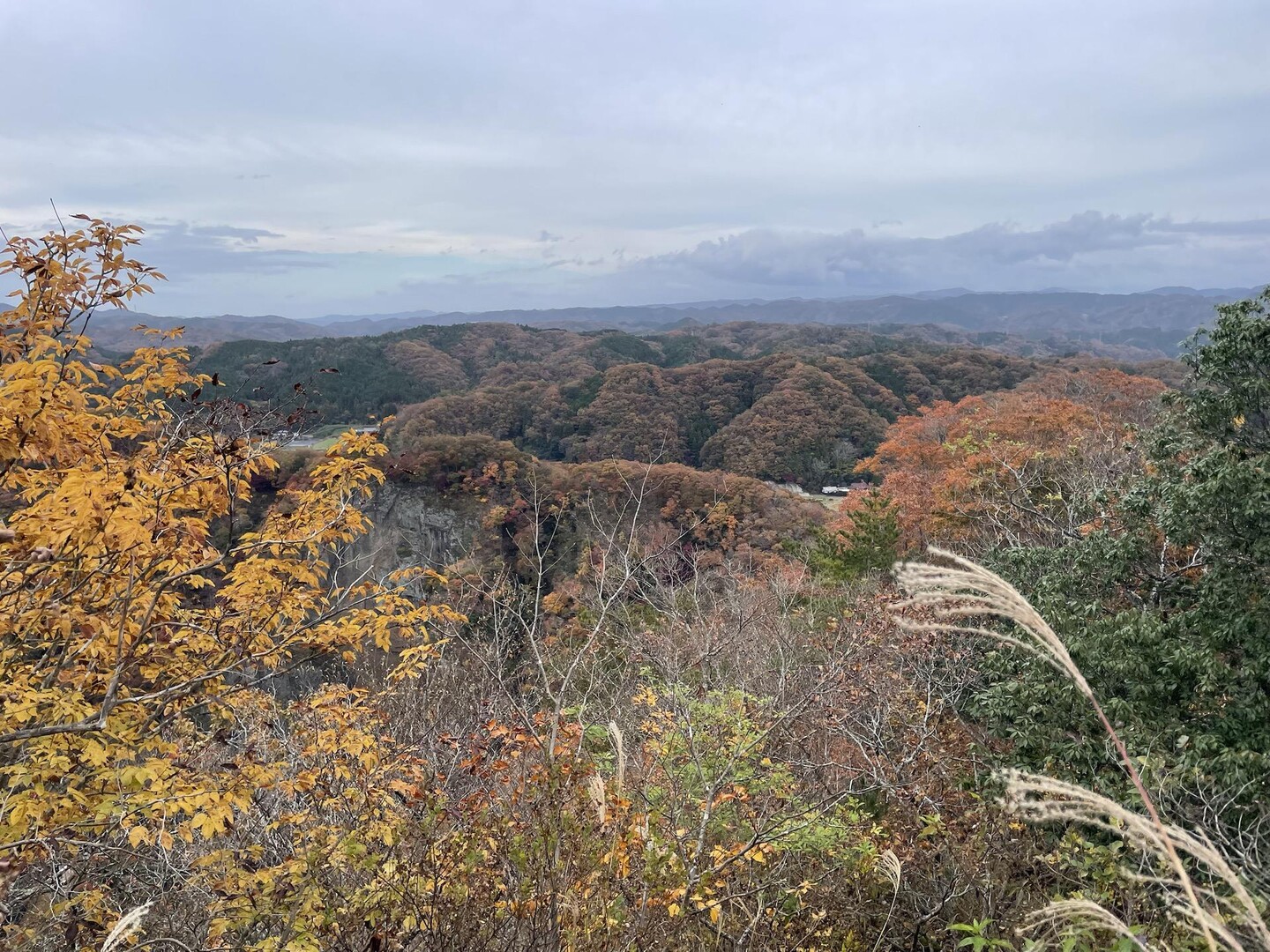 月居山 / saeさんの奥久慈男体山・月居山・篭岩（篭岩山）の活動データ | YAMAP / ヤマップ