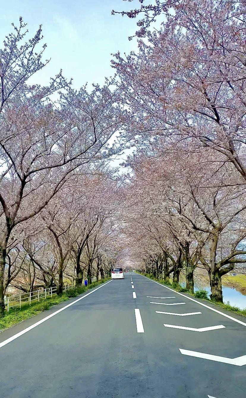 インスタ リール https://ww... / マイコージョーダンさんのモーメント | YAMAP / ヤマップ