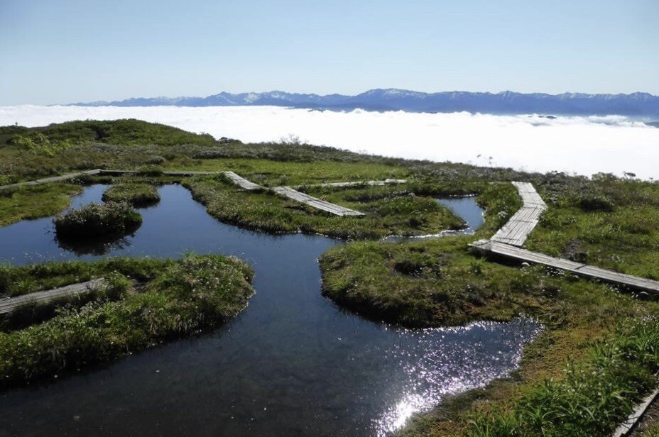 2017.06.17 浮島の池(白木峰)... / hayaさんのモーメント | YAMAP / ヤマップ