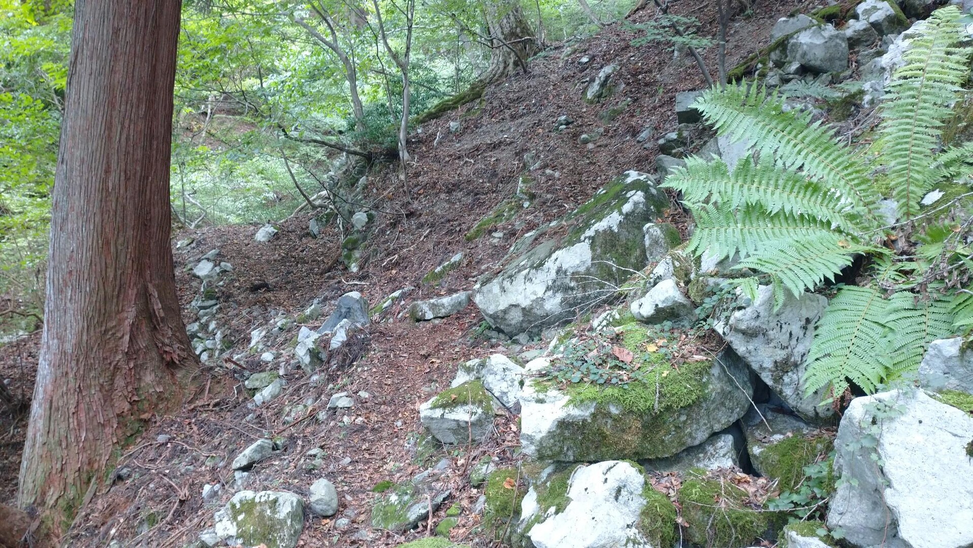 R1さんの投稿したフィールドメモ | YAMAP / ヤマップ