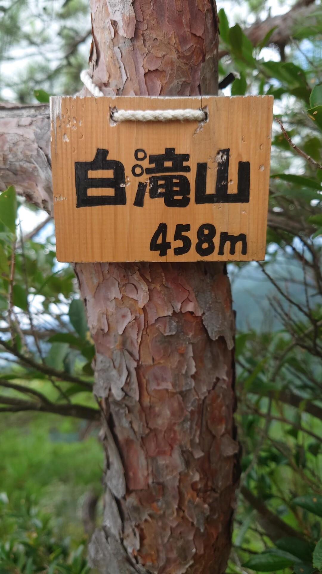 白滝山 / zyさんの白滝山・大師山の活動データ | YAMAP / ヤマップ