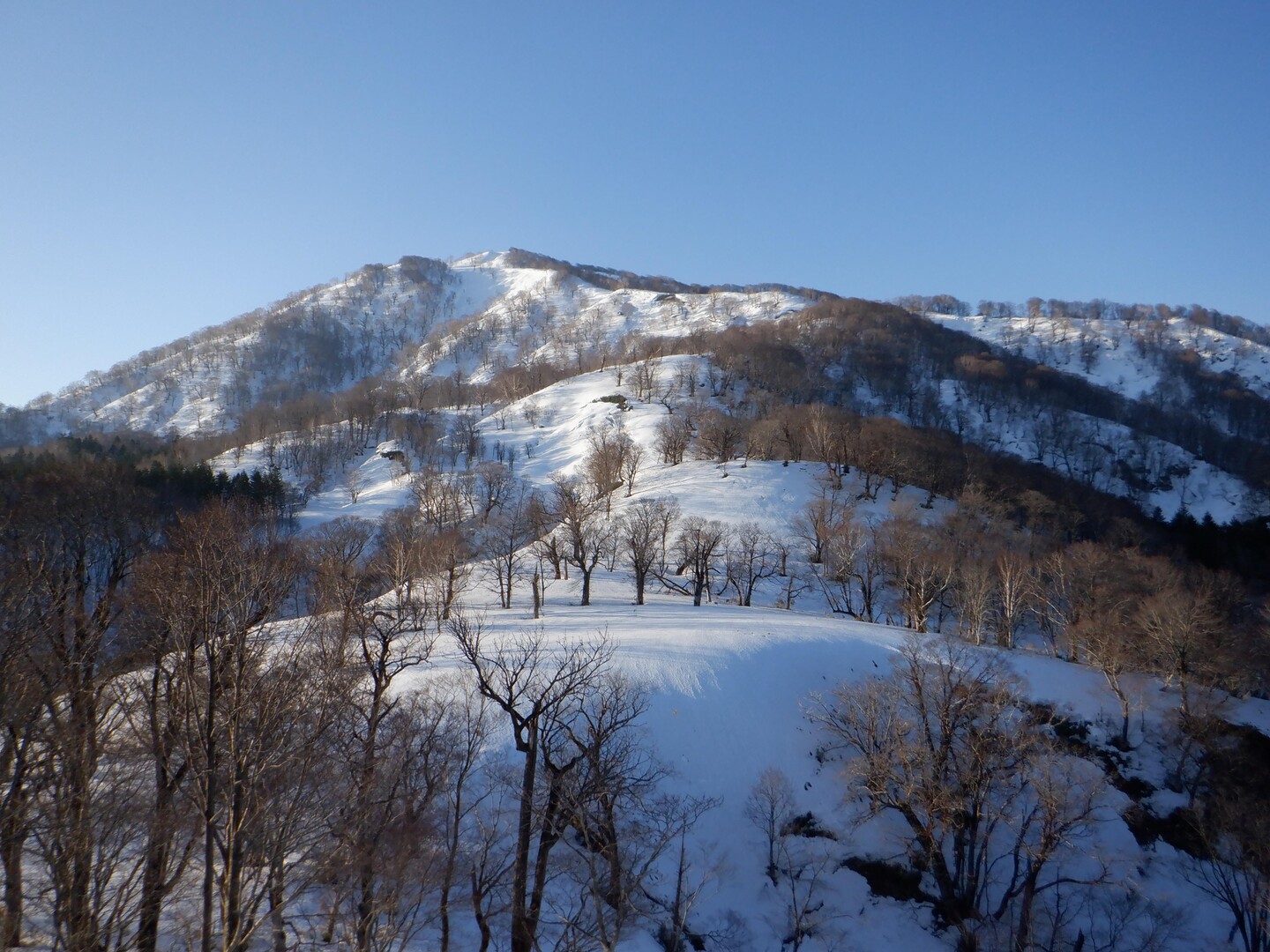 太櫓岳（PH） / sapさんの遊楽部岳の活動データ | YAMAP / ヤマップ