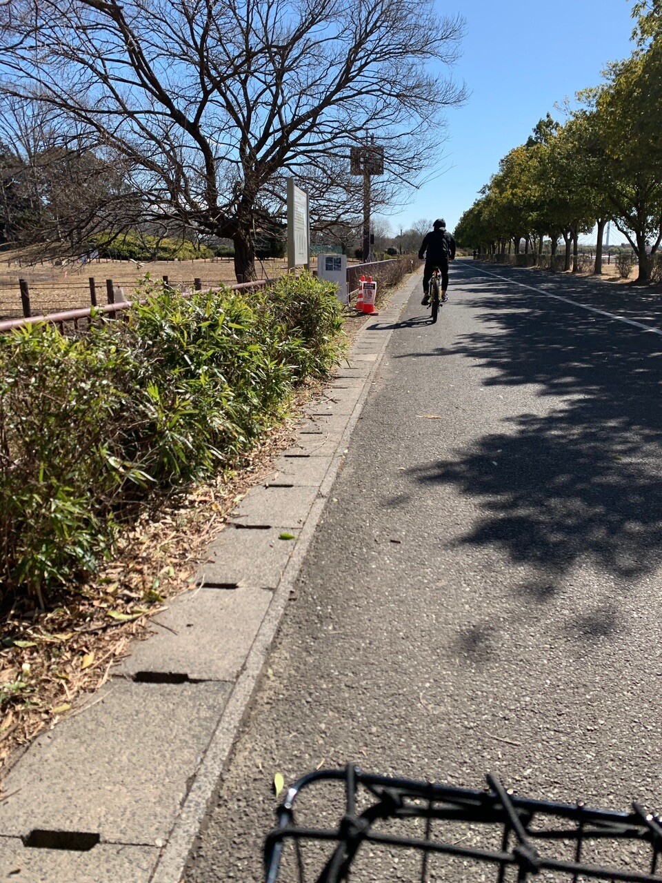 ポタリング🚲 / YAMA⛰MASAさんの中山道（大宮宿・上尾宿・桶川宿）の活動データ | YAMAP / ヤマップ