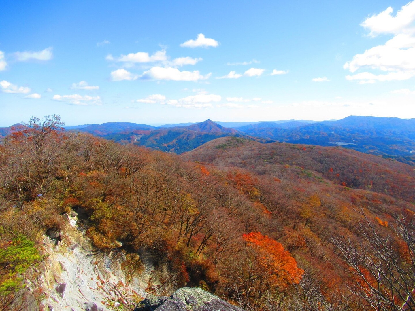 移ヶ岳 / y_kumataさんの移ヶ岳の活動データ | YAMAP / ヤマップ