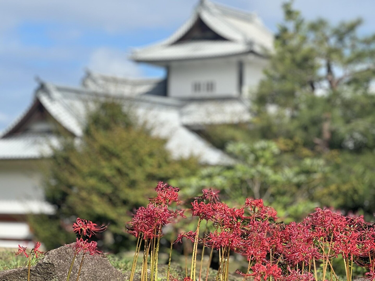 🏃🏼‍♀️🏃🏻‍♀️ウォーキング-2024-10-05 / Rallysukaさんのウォーキングの活動データ | YAMAP / ヤマップ